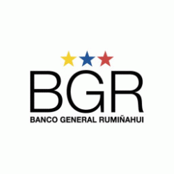 Nuevas oportunidades de empleo: CHIEF DATA OFFICER en BGR